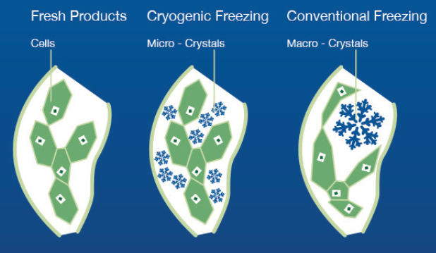 Gulf Cryo Gulf Cryo